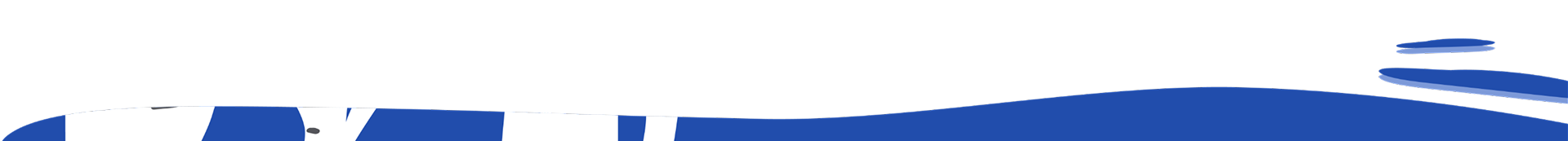 Birch Moisturizing Sun Cushion SPF 50+, PA++++ | Round Lab