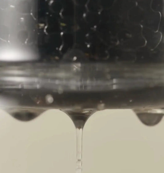 Soybean Nourishing Cream | Round Lab